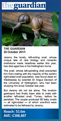 Jeremy the Snail | CASE